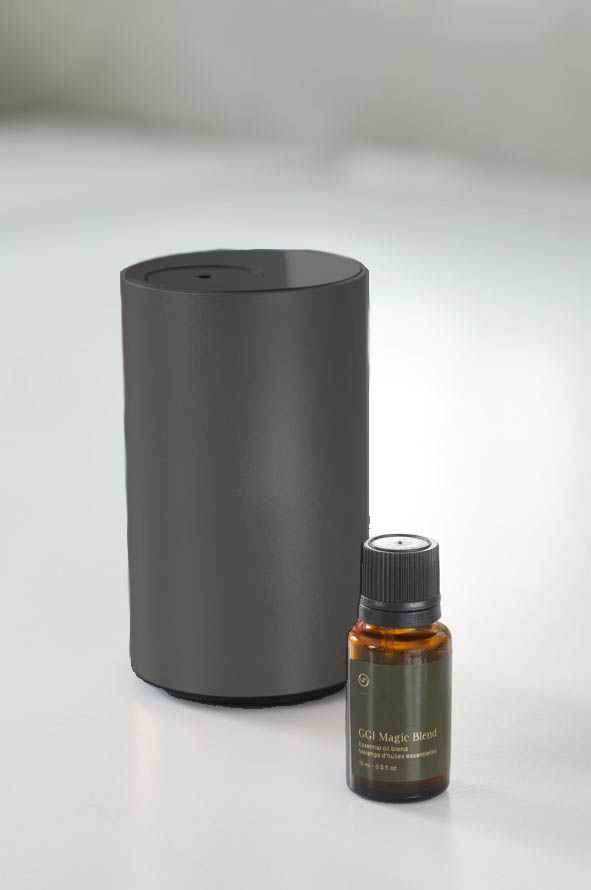 Black Waterless Diffuser | Interior Design Toronto | Gillian Gillies ...